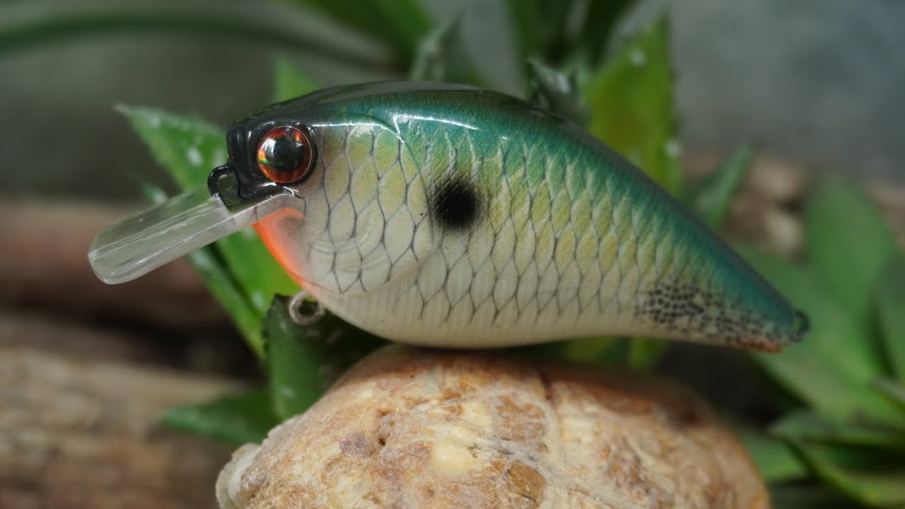 How to Airbrush a American / Thrand fin Shad - YouTube