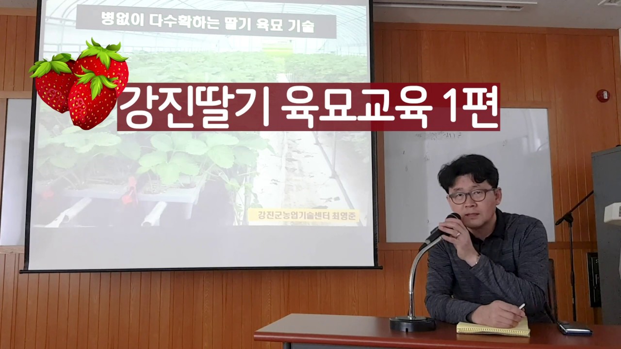 무작정 딸기키우기 강진딸기 육묘교육 제 1편 Youtube