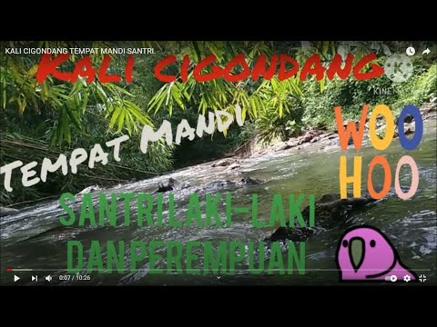 KALI CIGONDANG TEMPAT MANDI SANTRI PEREMPUAN DAN LAKI-LAKI