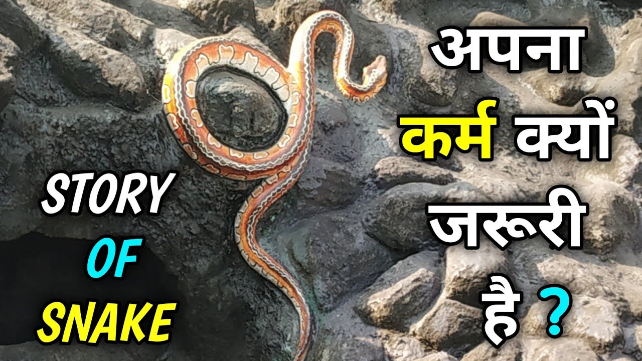 अपना कर्म क्यों जरुरी है ? | story of snake | #motivation #snake ...
