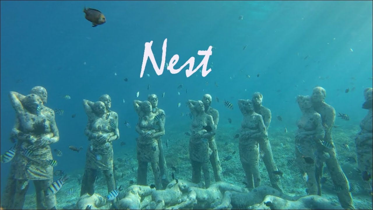 Underwater Statues Nest at Gili Meno - YouTube