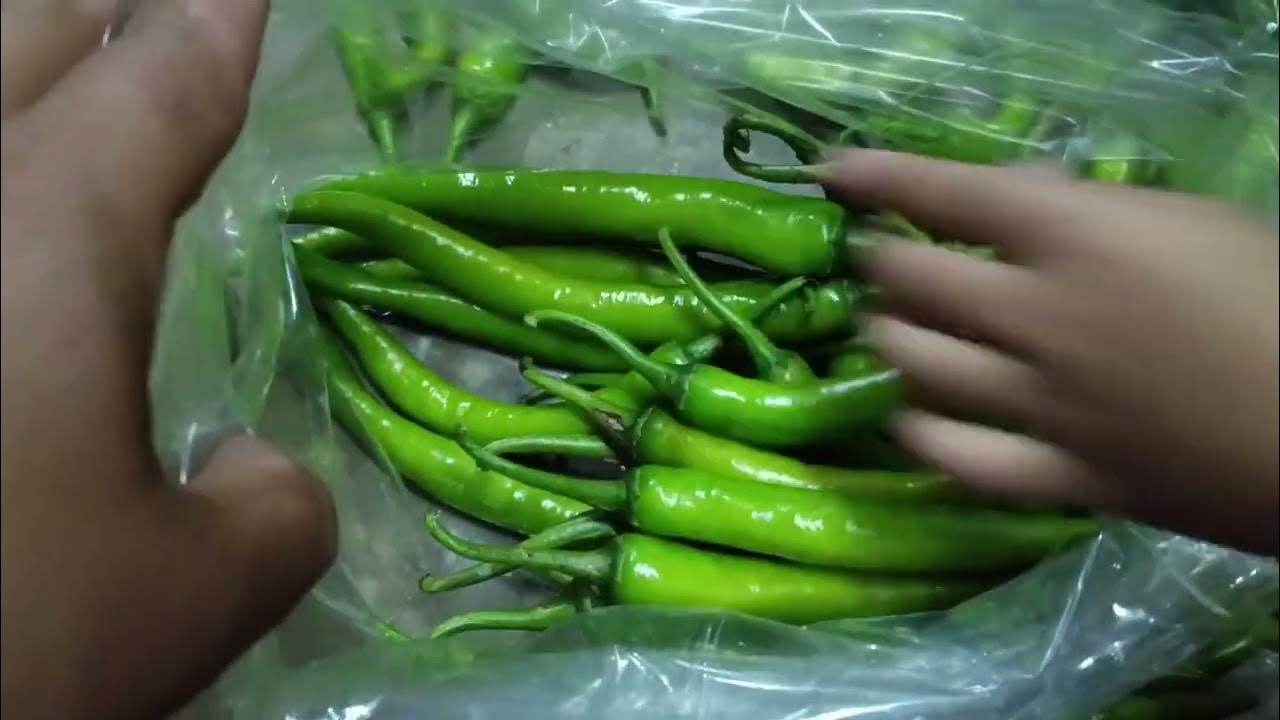 วิธีอัดพริกยาว #พริกมัน 14×26 - YouTube