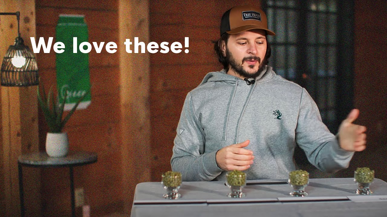 Our TOP 4 FAVORITE Low Alpha Hops! - YouTube