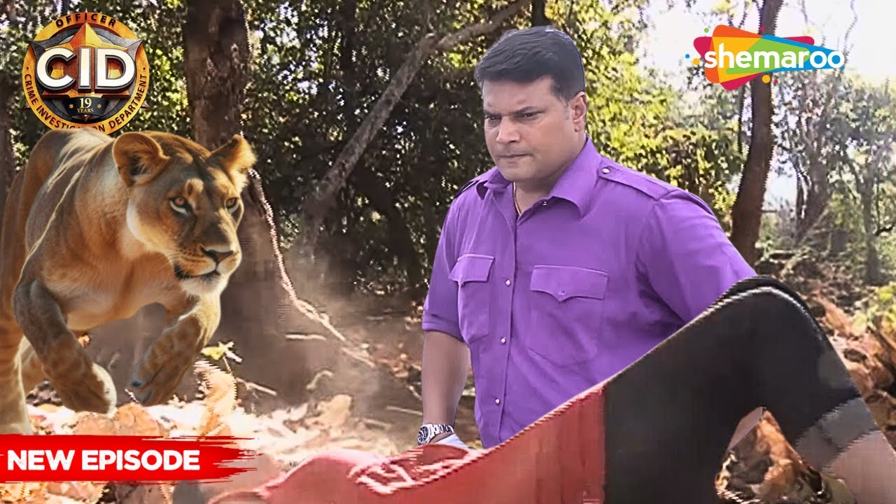 Daya कैसे बचाएगा ये लड़की को Tiger के पंजे से | CID | New Episode | 19 ...