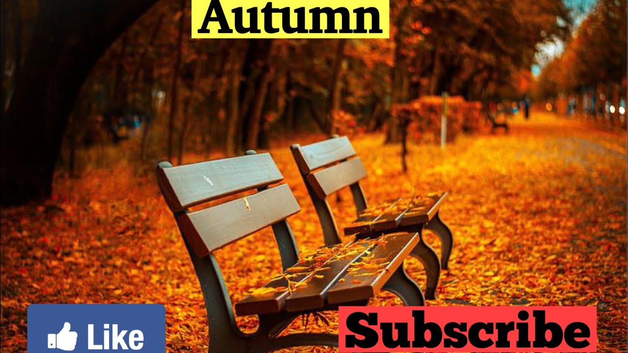 Autumn season, seasons, short speech , paragraph writing, easy lines ...