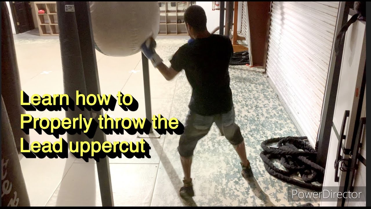 Learning How to Properly throw the lead uppercut with #ElCastigador ...