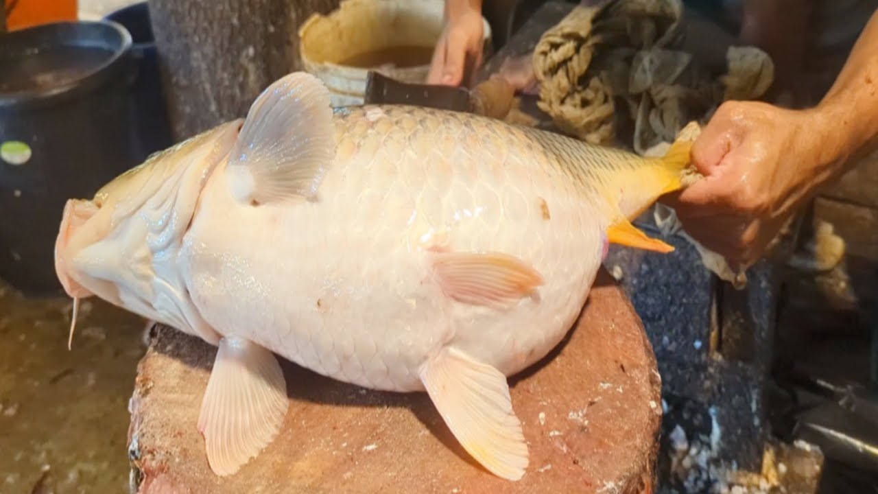 Fish Cutting Skills | Huge Golden Carp Fish Cutting Skills In ...