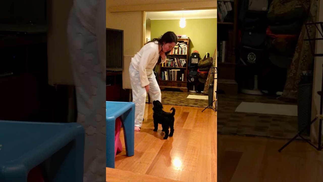 Dancing Bonzo Game! 💃🏻🤣 - YouTube