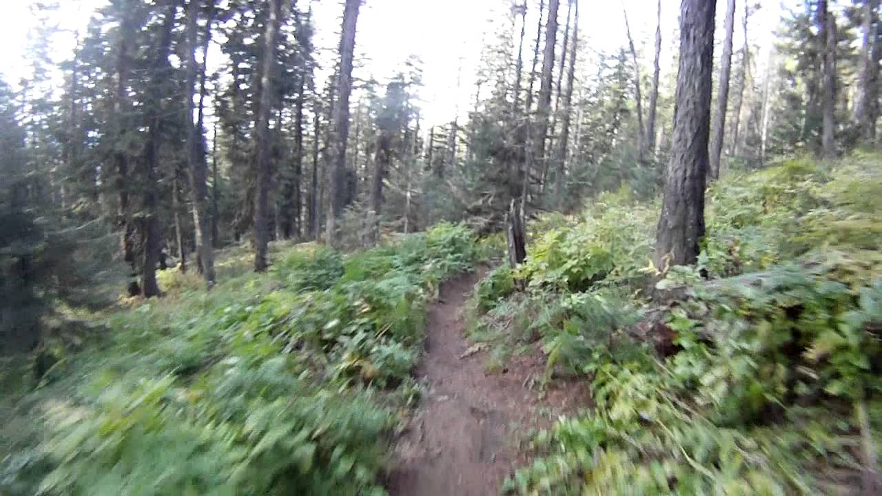 Mountain Biking on Mount Spokane from Kit Carson with moose sighting ...