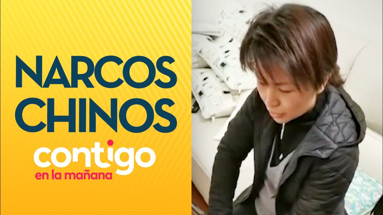 "BANG DE FUJIAN": La mafia china descubierta en Chile - Contigo en La ...