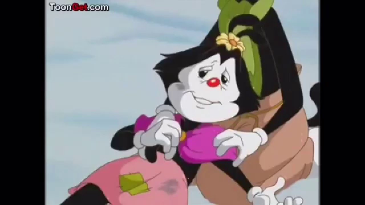 Wakko's Wish - Tears of Joy - YouTube