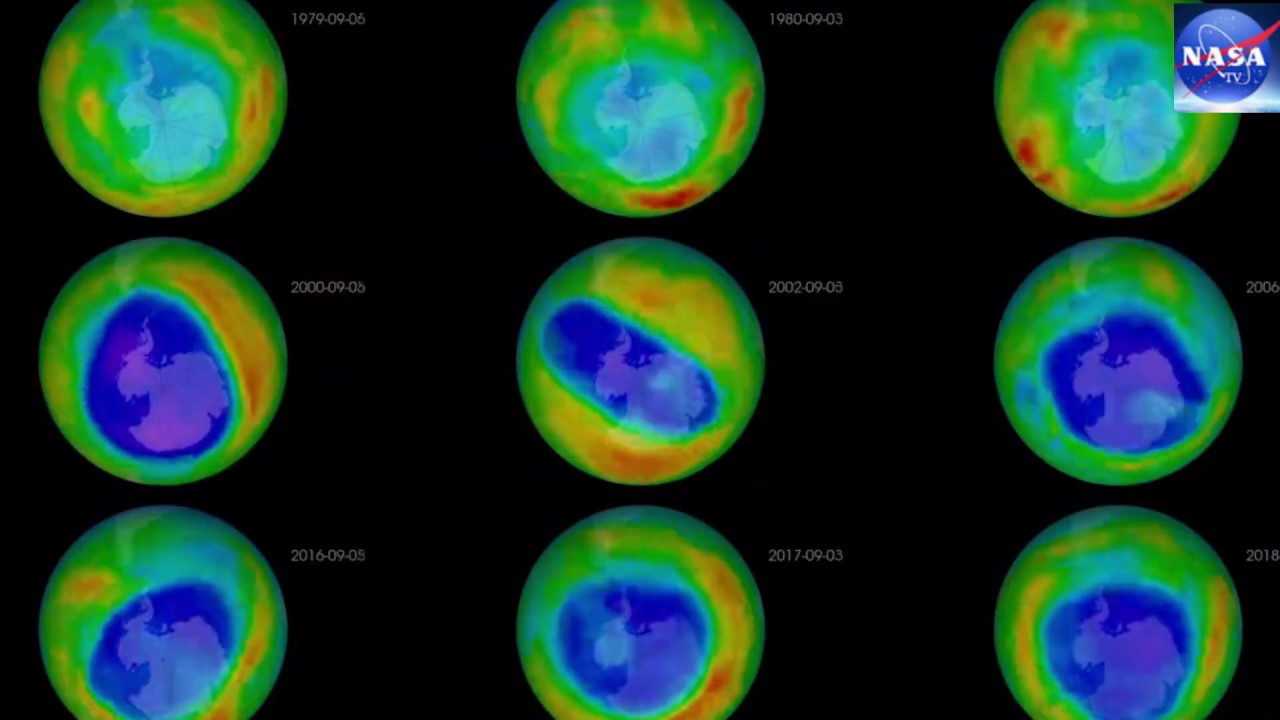 Earth from Orbit 2019: How NASA Satellites - YouTube