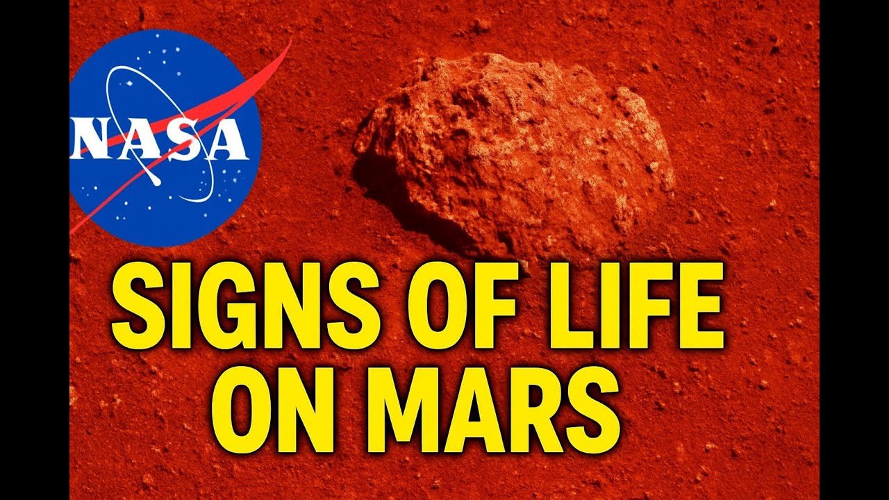 Ancient Microbial Life on Mars? NASA’s Breakthrough Discovery Explained ...