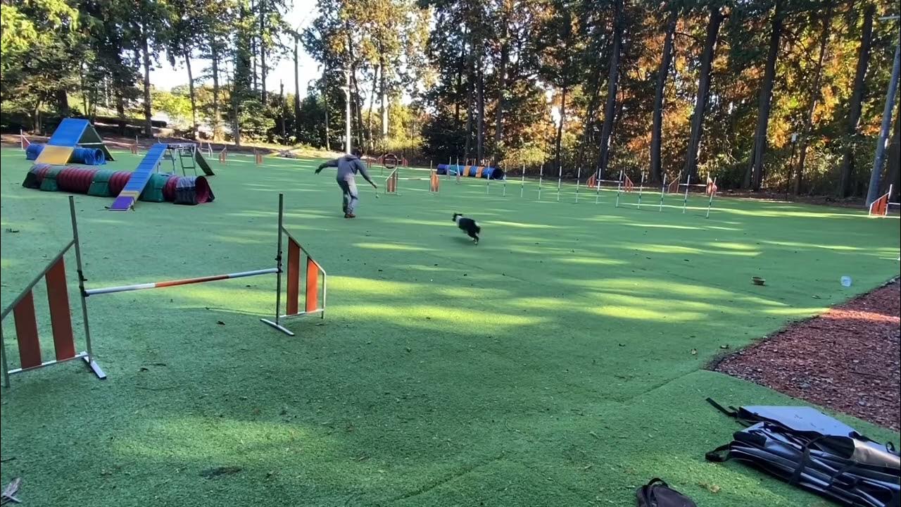 2024.12.4 KIINA - YouTube