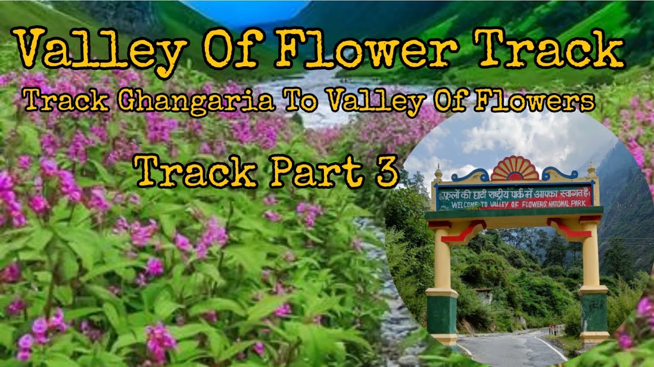 Track Hemkund Sahib Or Valley Of Flower Track Part- 1 !! घांघरिया से ...