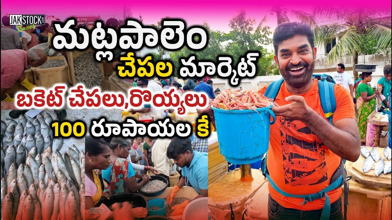 Matlapalem Fish Market | Bucket Fish Just Rs100 | Konaseema |SeaFood ...