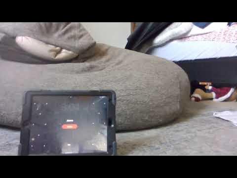 WIN 20250629 07 59 35 Pro - YouTube