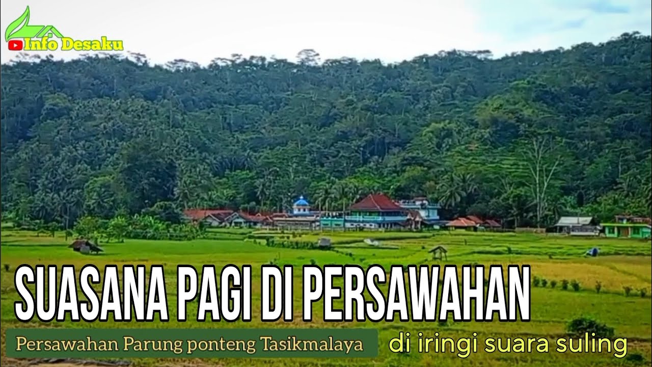 Suasana Persawahan di kampung cidalung Parungponteng. - YouTube