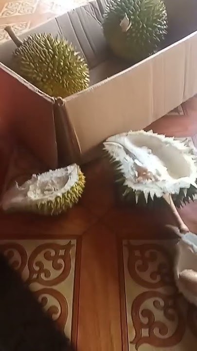 Durian Hasil Kebun - YouTube