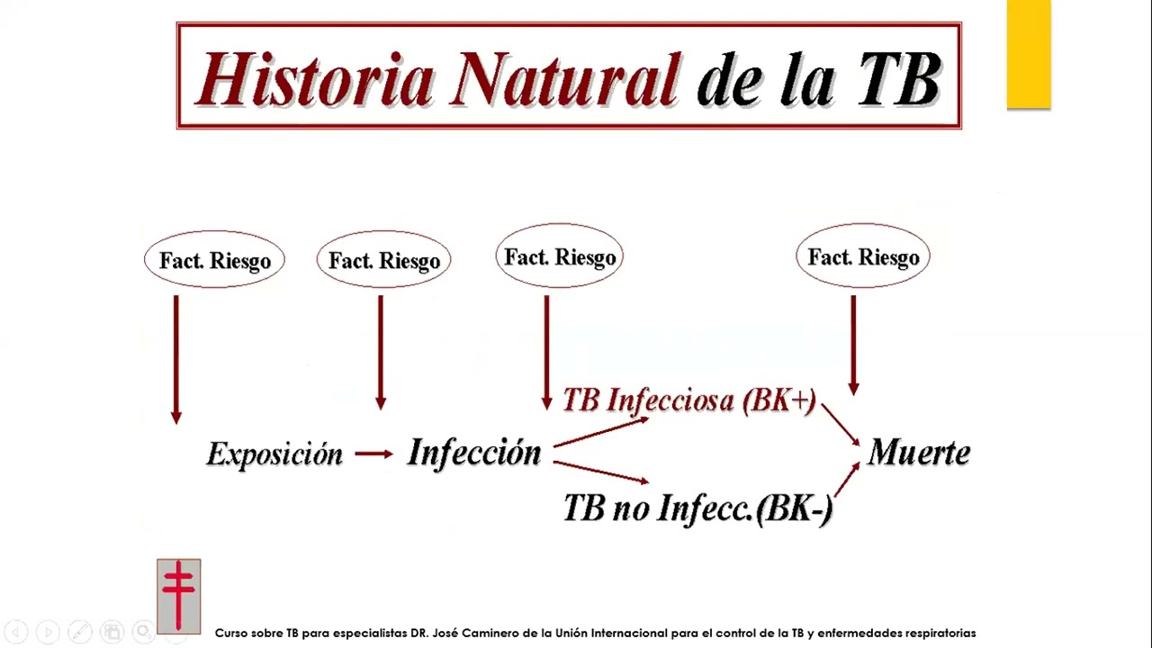 Curso Sobre Tuberculosis - YouTube