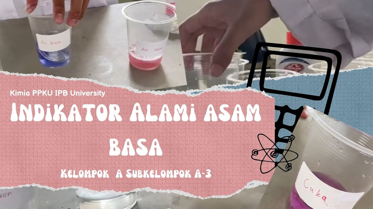Praktikum Mandiri Kimia: Kelompok A(3) ST24.1, Uji Coba Indikator Alami ...