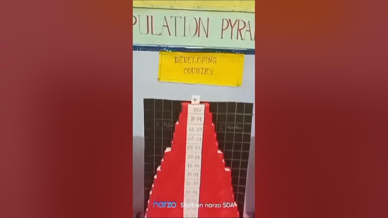 Projects class 8👍 - YouTube