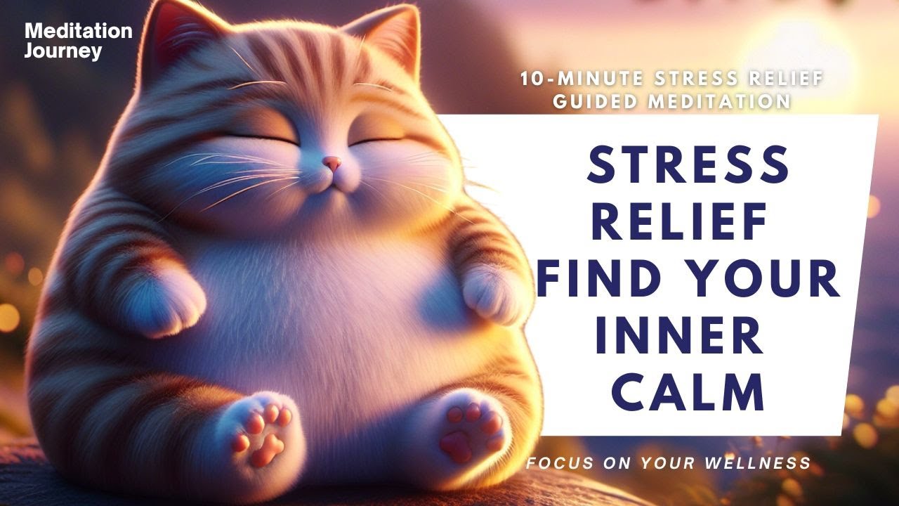 10-Minute Guided Meditation for Stress Relief | Find Your Inner Calm ...
