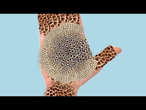 ASMR treatment Remove Maggots & Worm Infected Hand & all finger | ASMR ...