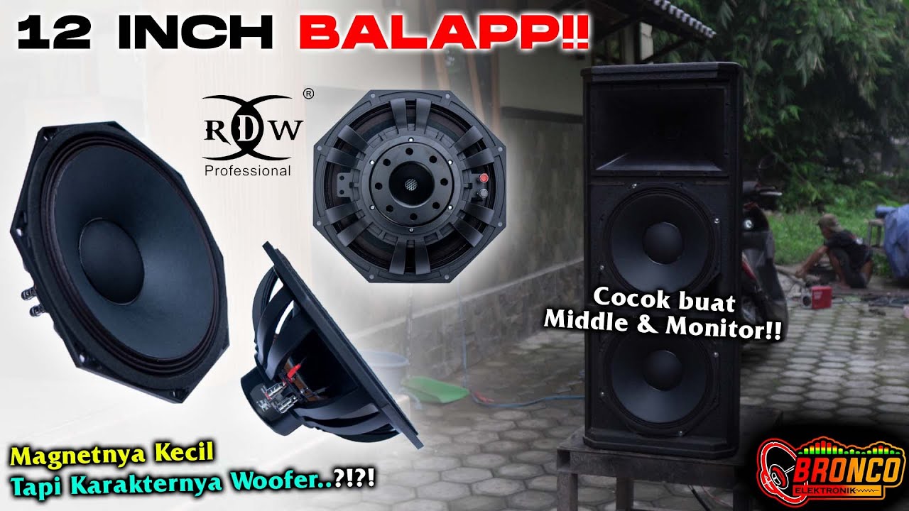 RDW 12LS2NE‼️ Speaker Baru 12” Neodymium Magnet yang cocok buat Middle & Monitor !!! - YouTube