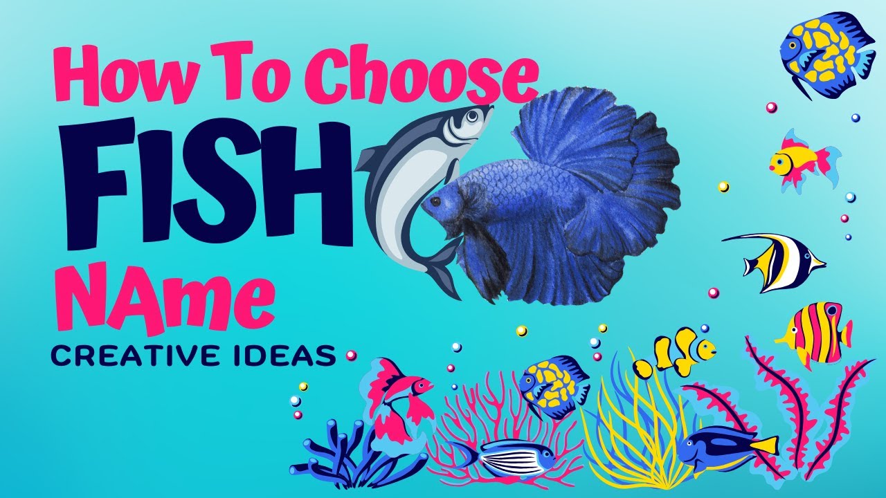 How to Choose the Perfect Name for Your Pet Fish | Creative Ideas ...