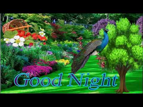 Good night