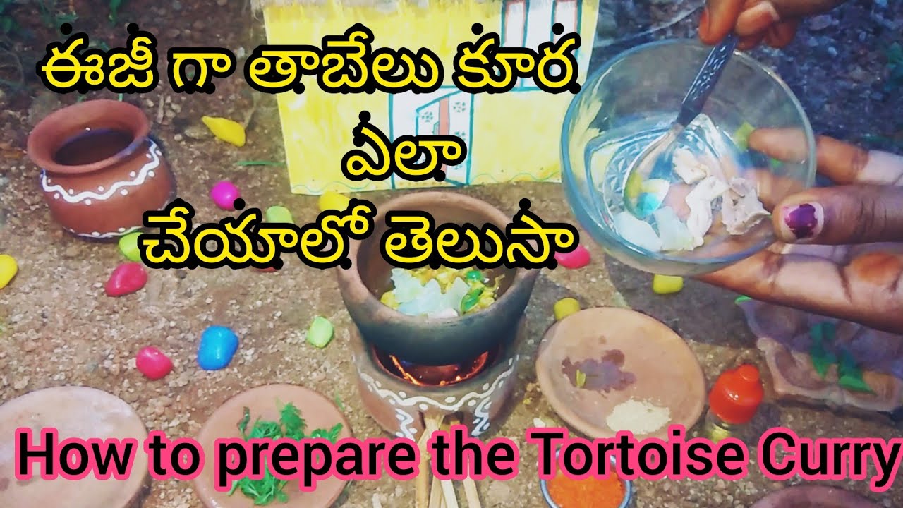 #Miniature_tortoise_Recipe |తాబేలు_కూర| tasty tortoise curry #Spicy ...