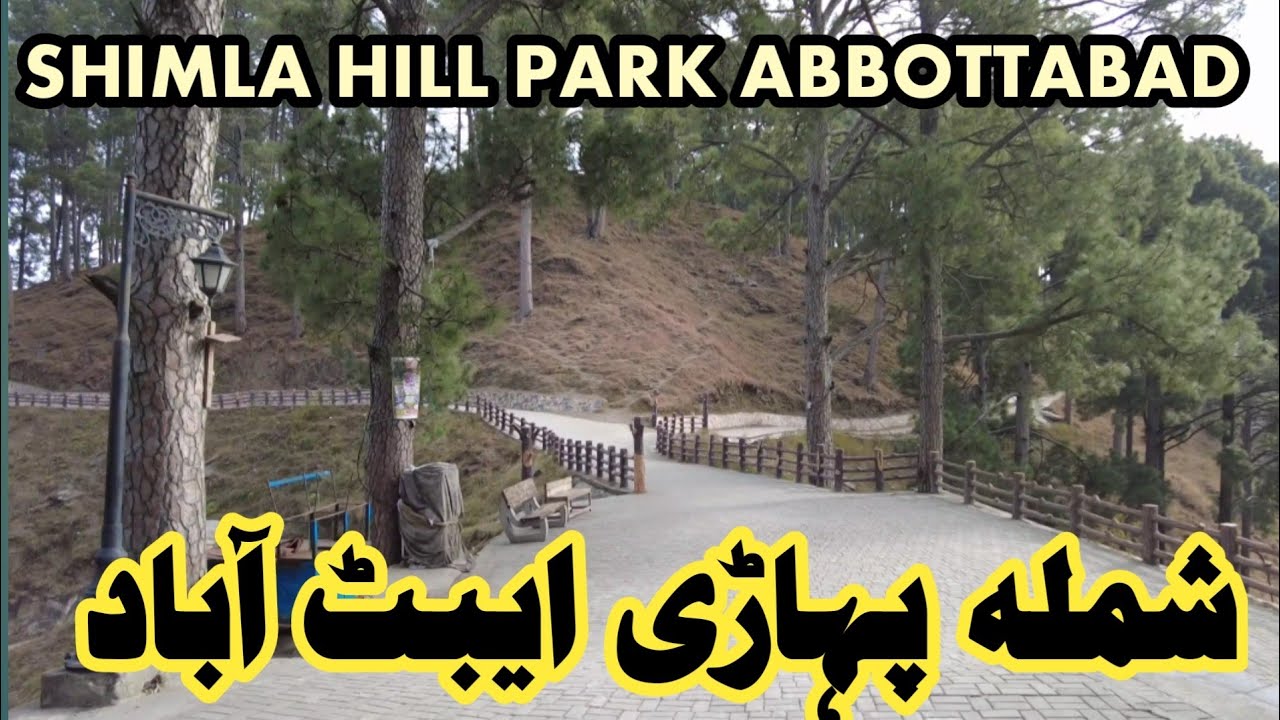 |Exploring The Hidden Gem of Pakistan | Simla Hill Park, Abbottabad ...