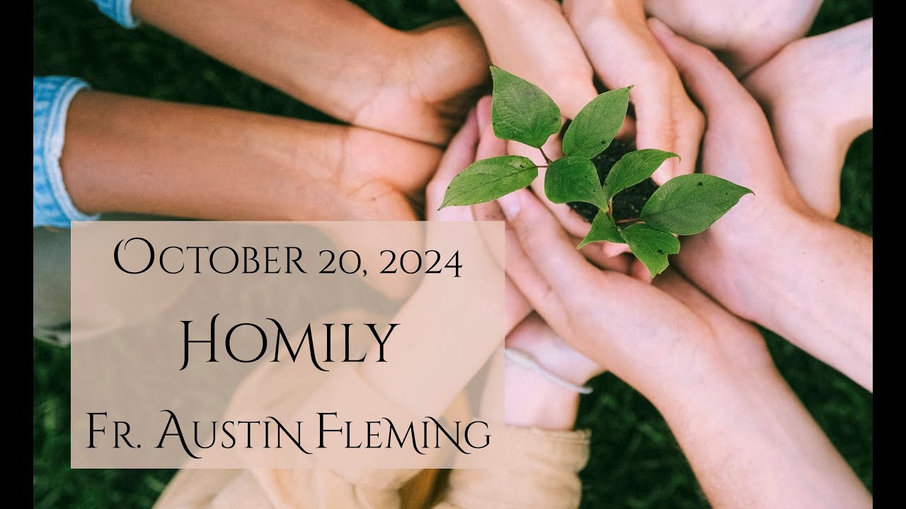 FR AUSTIN FLEMING HOMILY - OCTOBER 20, 2024 - YouTube
