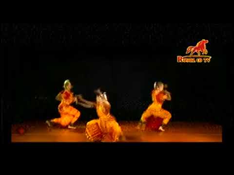 royal cotv Live Stream - YouTube