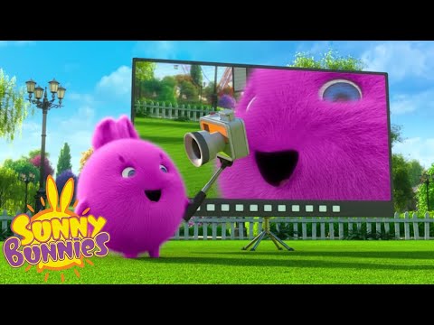 SUNNY BUNNIES - Sunny Selfie | Season 1 | Cartoons for Children