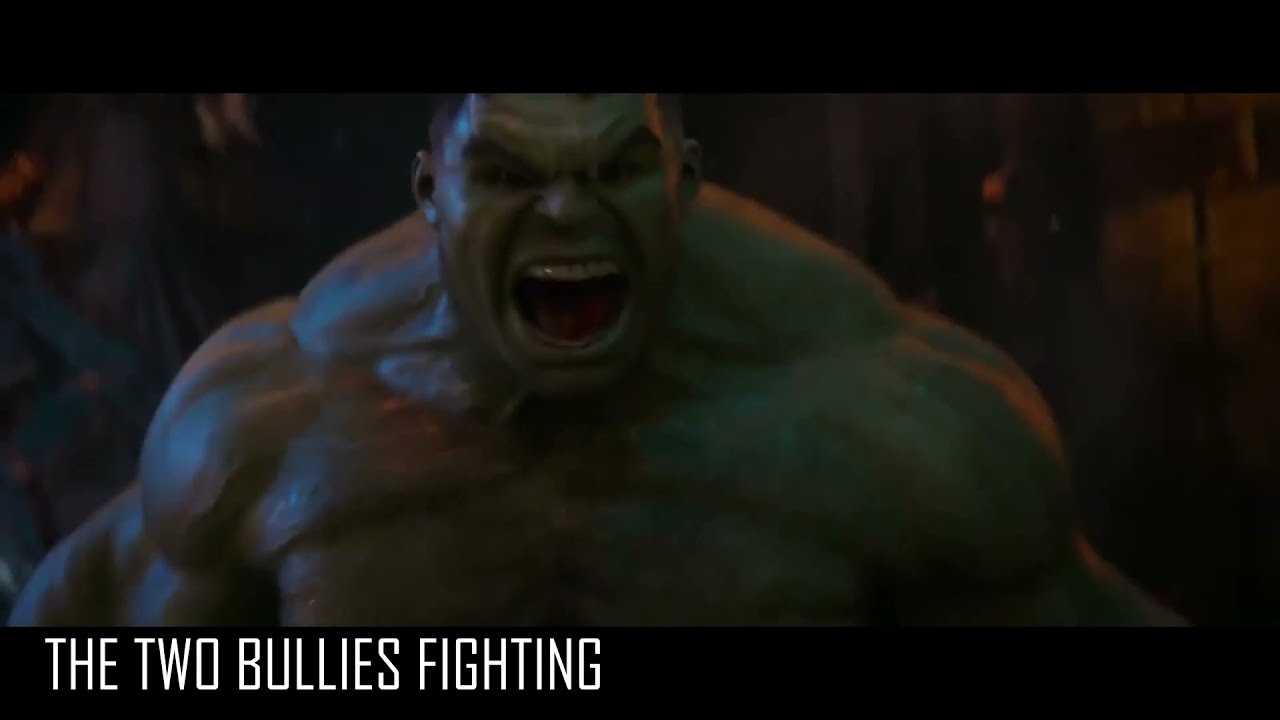 When There's A School Fight | Meme - YouTube