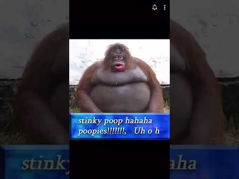 stinky poop hahaha poopies uh oh - YouTube
