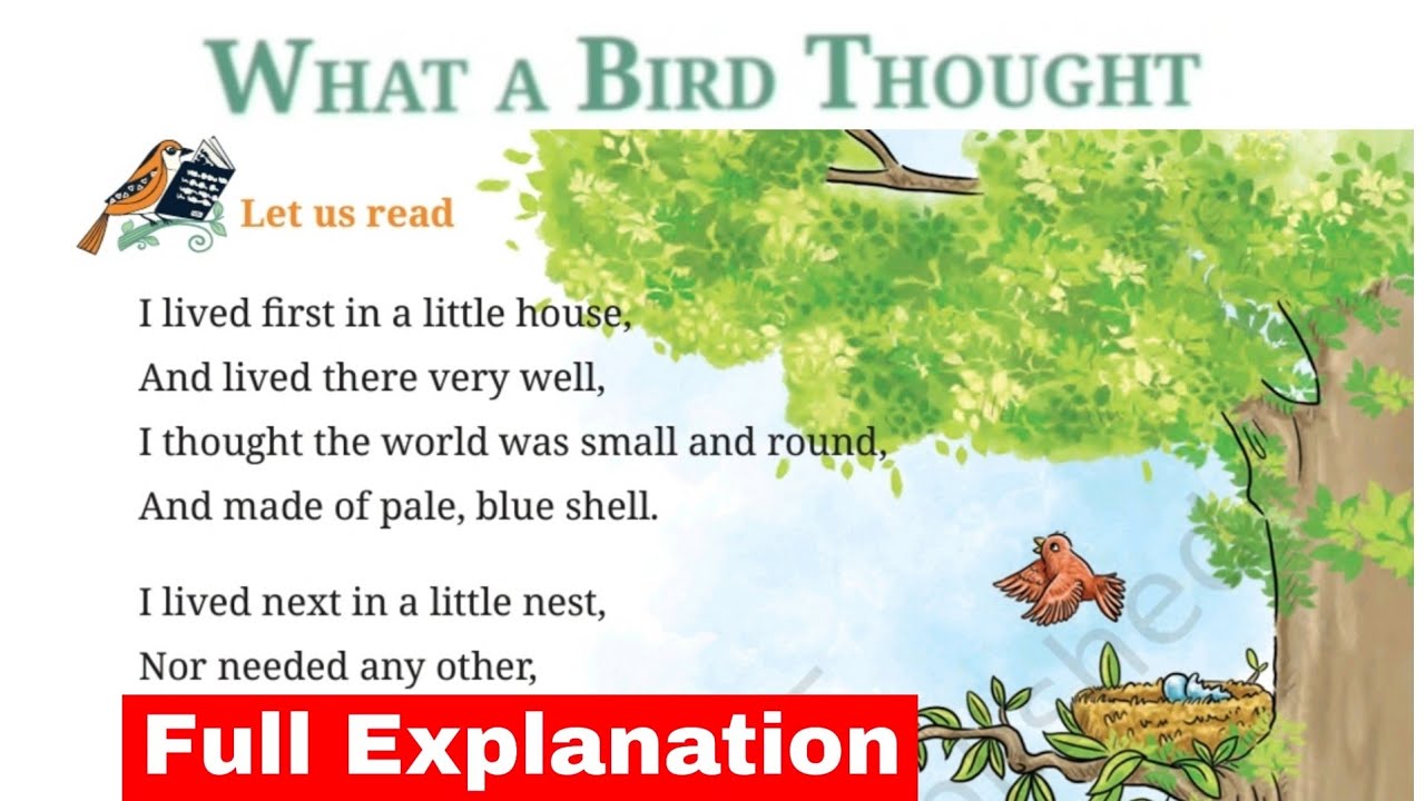 What A Bird Thought Poem Explanation Class 6 English Poorvi EDUMAGNET what-a-bird-thought-poem-explanation-class-6-english-poorvi-edumagnet