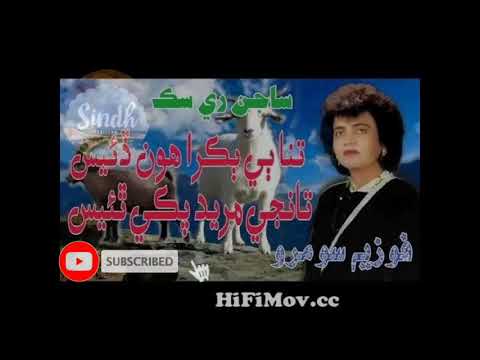 Sindh_villaga_vlogsFozia Soomro | Top-10 Song | Sindhi Song |