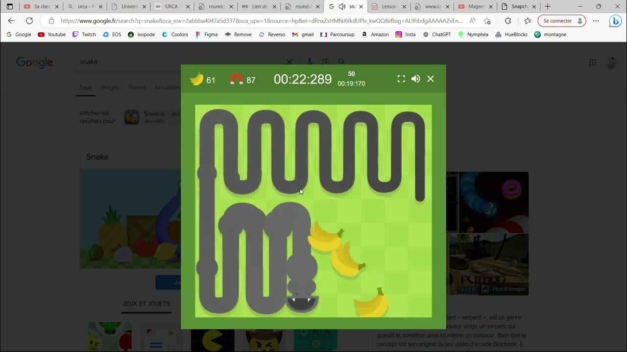 WR Snake Magnet Standard 3a Small 27:540 - YouTube