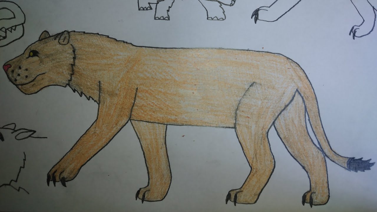 Sound Effects-Panthera Youngi - YouTube