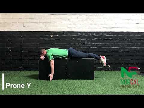 Prone Shoulder I, Y, T **NorCal Physiotherapy Exercise Library - YouTube