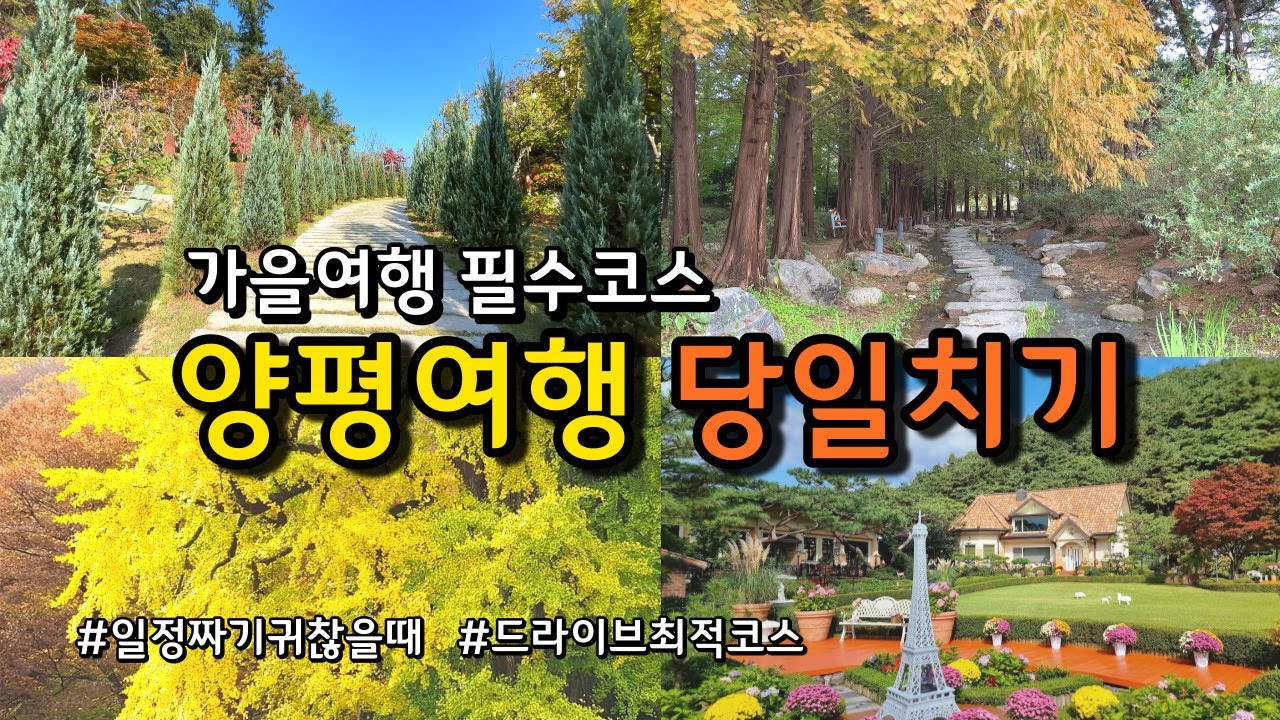 가을여행 양평 당일치기 드라이브코스 Best6 서울근교 여행추천 용문사 은행나무 세미원 칸트의마을 더그림 양평카페 양평맛집 월간유리소리 Youtube