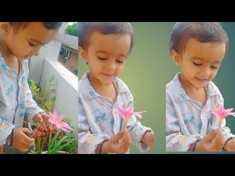 Vaishnavi ne toda kesar Ka phool!! Flower of kesar!! very cute baby ...