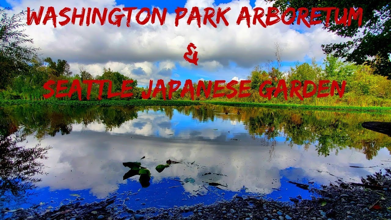 WASHINGTON PARK ARBORETUM AND SEATTLE JAPANESE GARDEN - YouTube