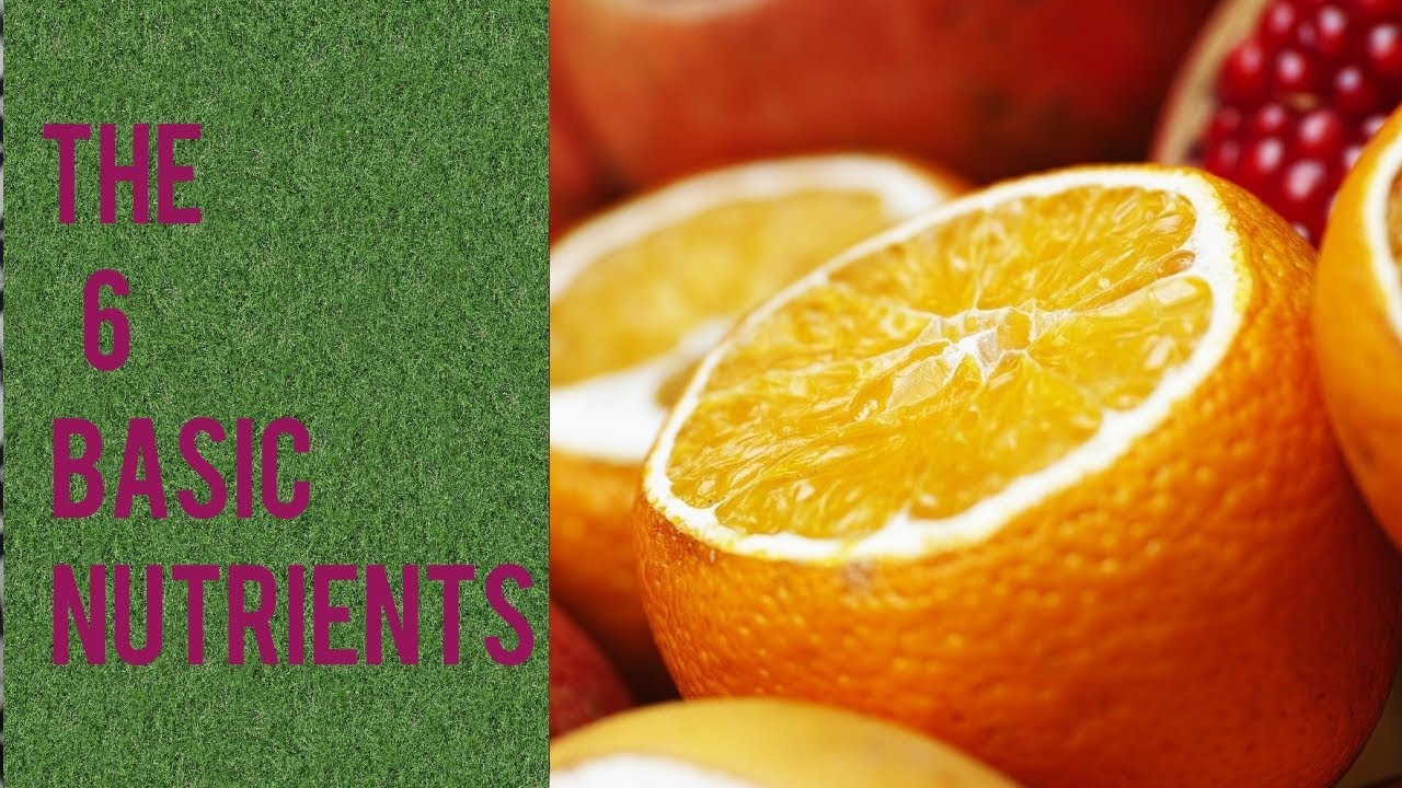 6 Basic Nutrients - YouTube