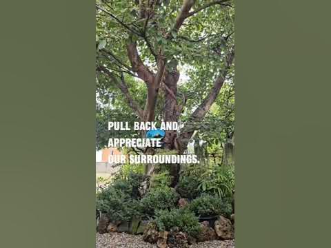 Rung Aroon Coffee #cafe #morningcoffee #relax #chill #dayoff #getaway #chiangmai #เชียงใหม่ ...