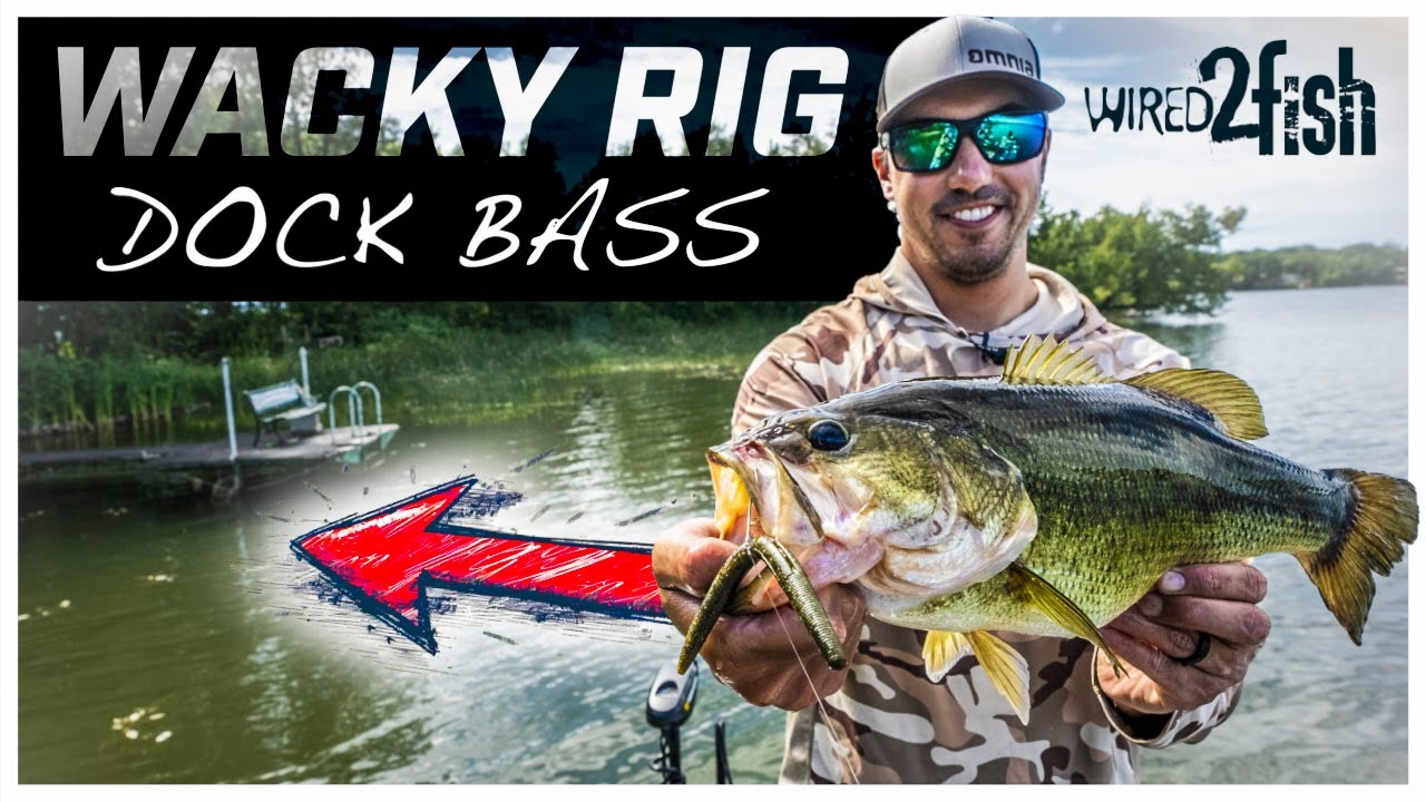 How to Wacky Rig Boat Docks for Summer Bass - YouTube