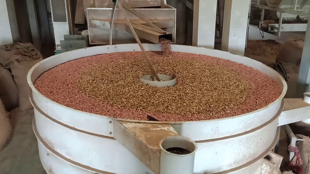 Fully automatic ground nut processing plant manufacturer by perfect ...
